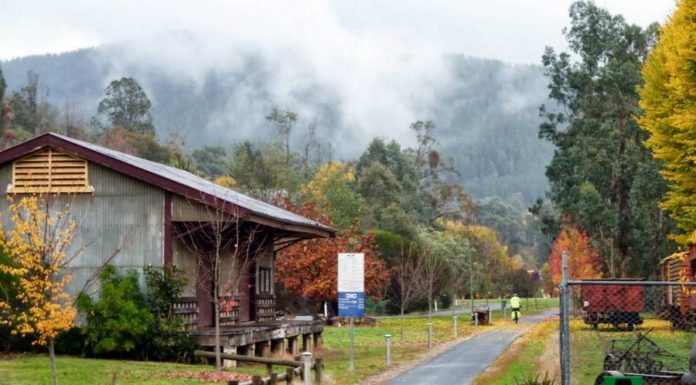 Bright town australia fall foliage places (9) - Living + Nomads ...