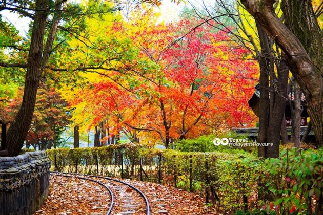 Top 5 most beautiful fall foliage destinations in Asia & Australia ...