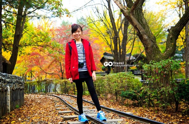 nami island autumn fall foliage destinations fall foliage places (3 ...