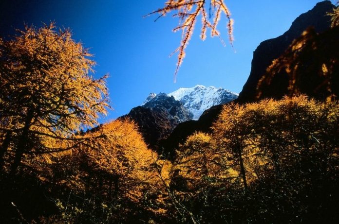 Top 5 most beautiful fall foliage destinations in Asia & Australia ...