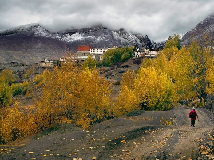 Top 5 most beautiful fall foliage destinations in Asia & Australia ...