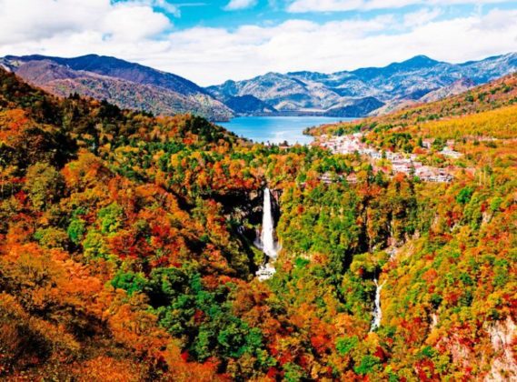 Top 5 most beautiful fall foliage destinations in Asia & Australia ...