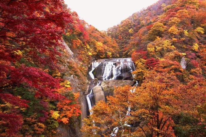 Japanese waterfall — Top 10 most beautiful waterfalls in Japan in ...