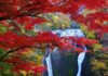 17+ top attractions & must see places in Shenzhen - Living + Nomads ...