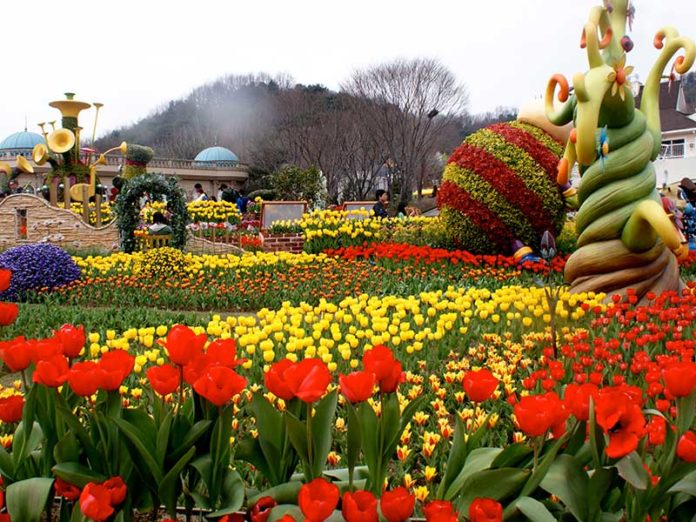 Everland Korea blog — How to spend 1 perfect day in Everland Theme Park ...
