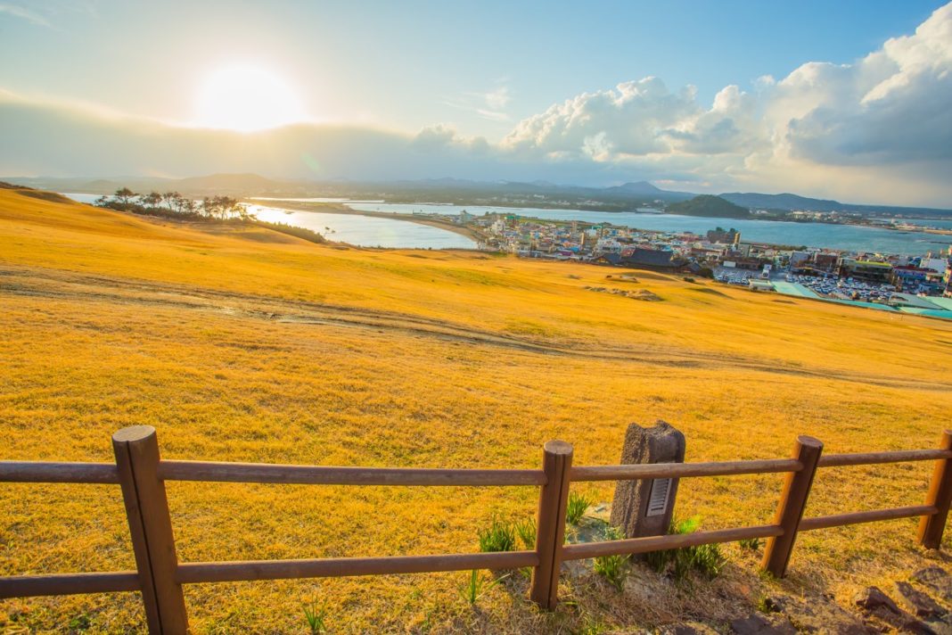 Jeju fall foliage forecast 2025 — The time & 6+ best places to visit ...