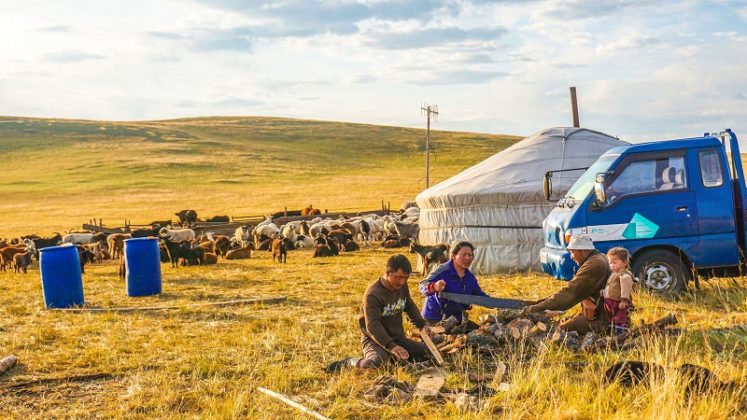 Gobi desert tour — 12 wonderful days road trip in Gobi desert - Living ...