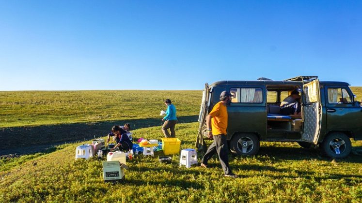 Gobi desert tour — 12 wonderful days road trip in Gobi desert - Living ...