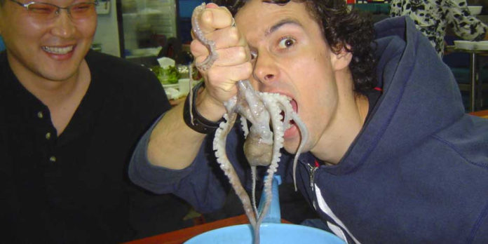 Weird Asian food — 10 famous weird foods in Asia dare you to eat ...