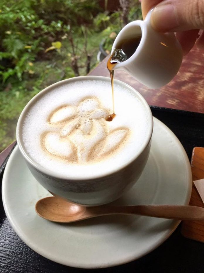 Visiting Kosoan tea house — The traditional tea room in Tokyo - Living ...