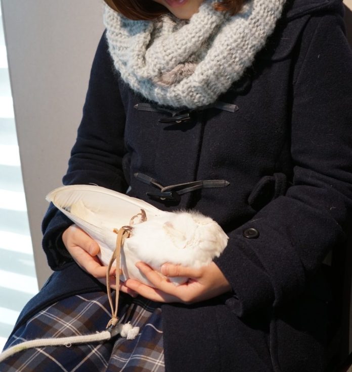 Visiting Owl Shrine Café, Tokyo — Healing the soul by cuteness - Living ...