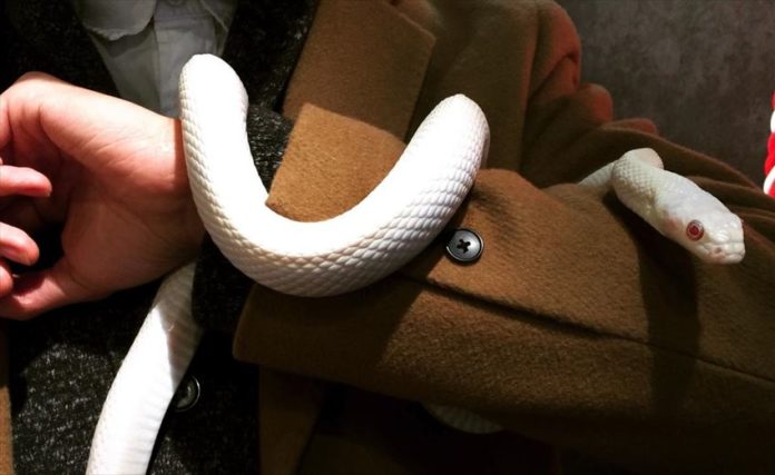 Visiting Owl Shrine Café, Tokyo — Healing the soul by cuteness - Living ...