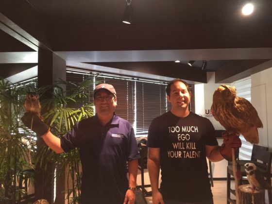 Visiting Owl Shrine Café, Tokyo — Healing the soul by cuteness - Living ...