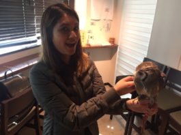 Visiting Owl Shrine Café, Tokyo — Healing the soul by cuteness - Living ...