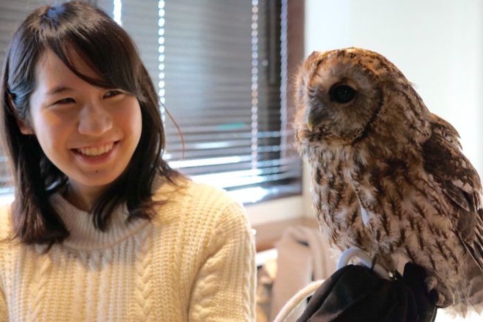Visiting Owl Shrine Café, Tokyo — Healing the soul by cuteness - Living ...
