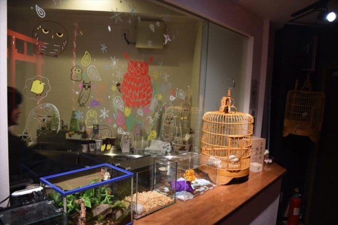 Visiting Owl Shrine Café, Tokyo — Healing the soul by cuteness - Living ...