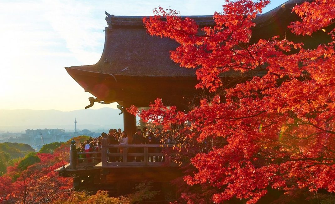 Kyoto fall foliage forecast 2025 — The time & 15+ best place to see ...