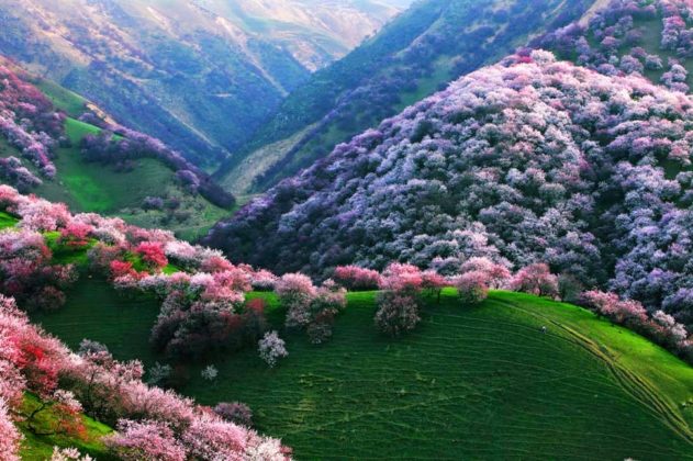 Xinjiang blog — A journey to the paradise on earth - Living + Nomads ...