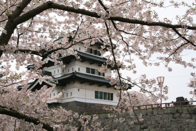 What is Hanami in Japan? The meaning & 9+ best places for Hanami in ...
