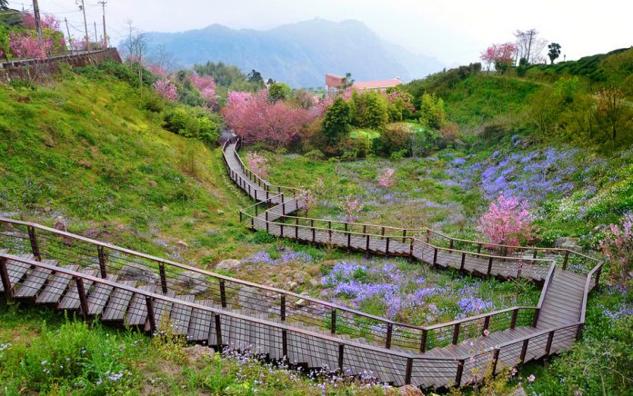fenqihu-village-alishan-plateau-taiwan18 - Living + Nomads – Travel ...