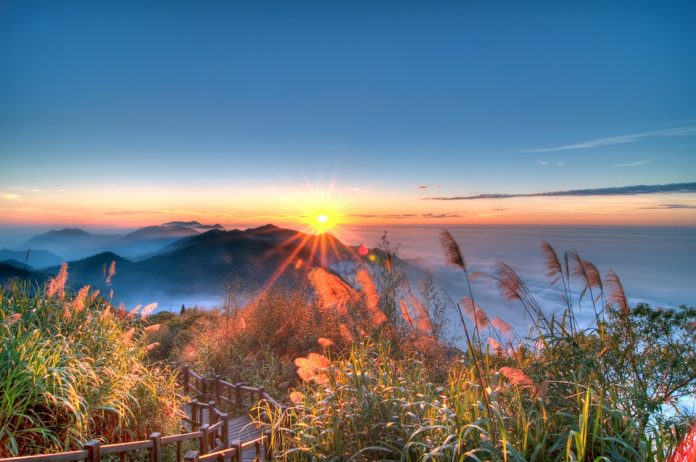Alishan trip blog — The fullest Alishan travel guide on how to make an ...