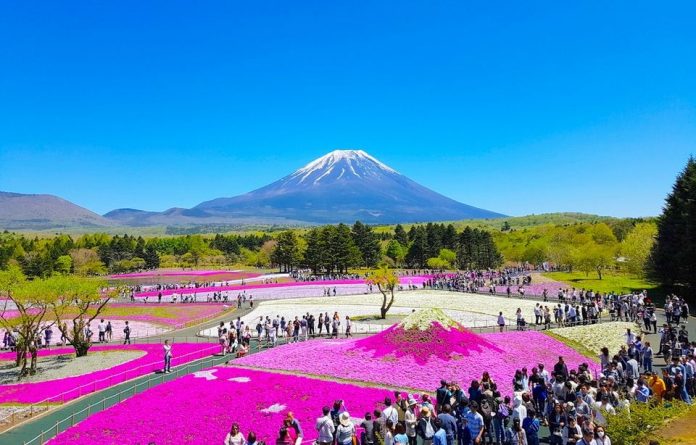 Mount Fuji day trip blog — How to spend one perfect day itinerary in Mt ...