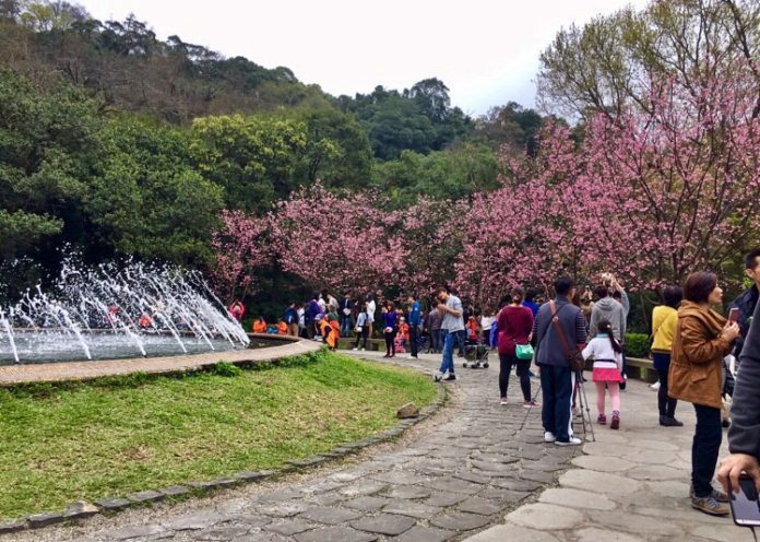 Yangmingshan travel blog — The fullest Yangmingshan national park guide ...