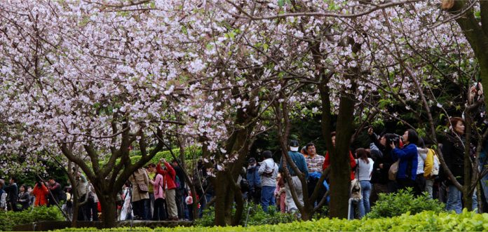 When is the best time to visit Taiwan? — The best, worst, cheapest ...