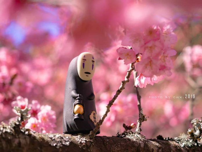 Wuling Farm, Taichung cherry blossoms (2) - Living + Nomads – Travel ...