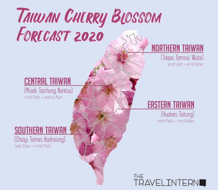 cherry blossom season in taiwan 2019-1 - Living + Nomads – Travel tips, Guides, News & Information!