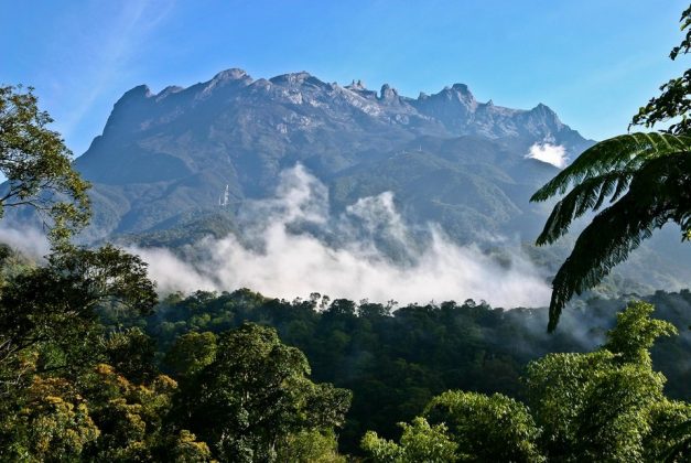 Borneo experiences — Top 7 unforgettable experiences on the tropical ...