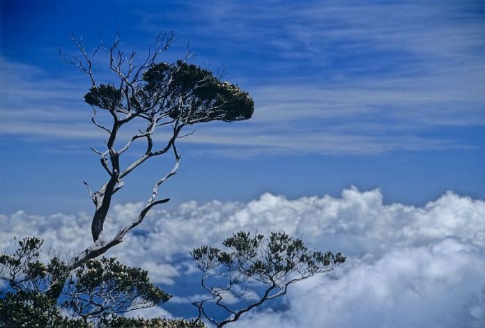 Borneo experiences — Top 7 unforgettable experiences on the tropical ...