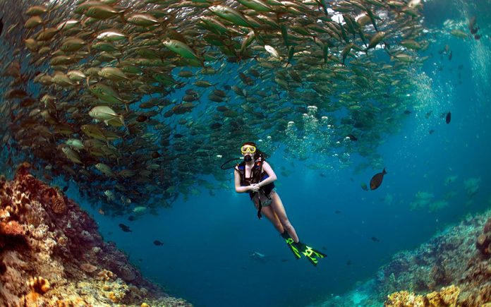 Borneo experiences — Top 7 unforgettable experiences on the tropical ...