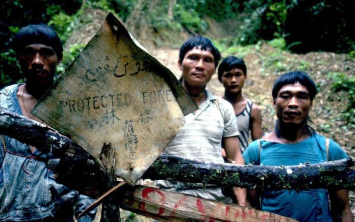 penan people-borneo - Living + Nomads – Travel tips, Guides, News ...