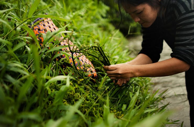 penan people-borneo-malaysia7 - Living + Nomads – Travel tips, Guides ...