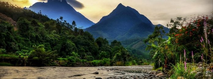 Borneo experiences — Top 7 unforgettable experiences on the tropical ...