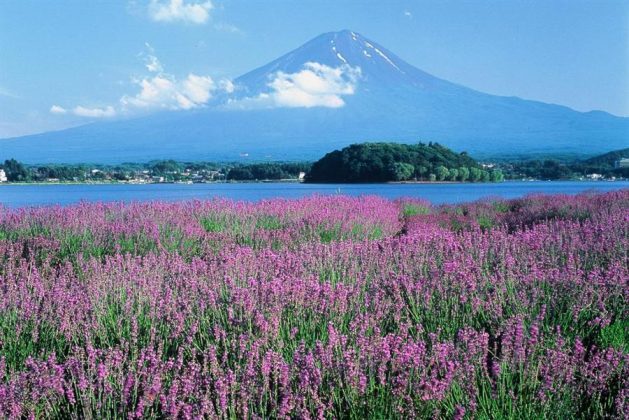 Mount Fuji places to visit — Top 10 most beautiful places to visit near ...