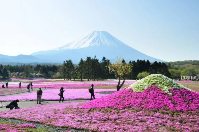 Mount Fuji places to visit — Top 10 most beautiful places to visit near ...