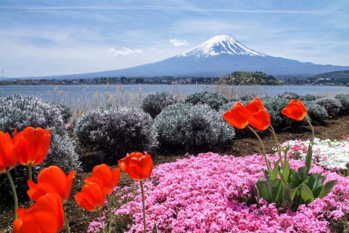 Mount Fuji places to visit — Top 10 most beautiful places to visit near ...