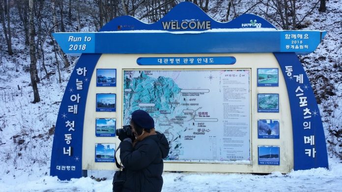 Visiting Daegwallyeong Sheep Farm — Exploring the most beautiful sheep ...