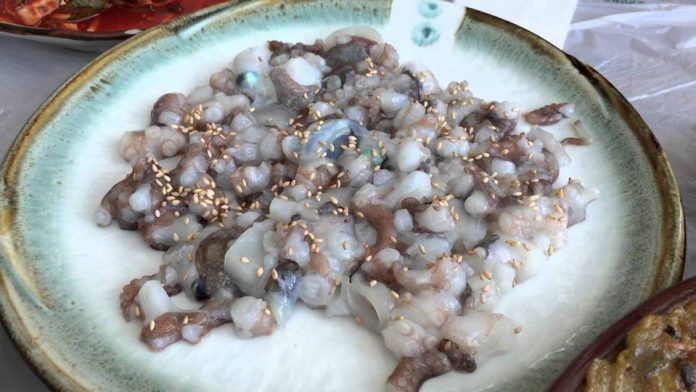 Must eat food in Busan — 10+ best Busan famous food & must try food in ...