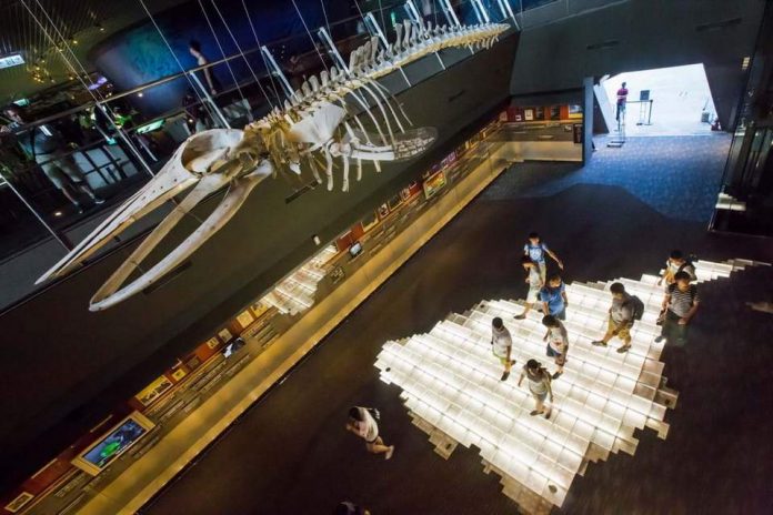 Visit Lanyang Museum, the pride of Yilan, Taiwan - Living + Nomads ...