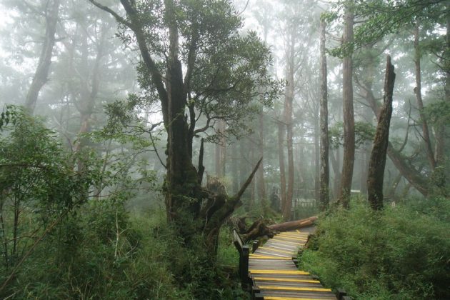 Taipingshan Yilan blog — How to spend 1 perfect day in Taipingshan ...