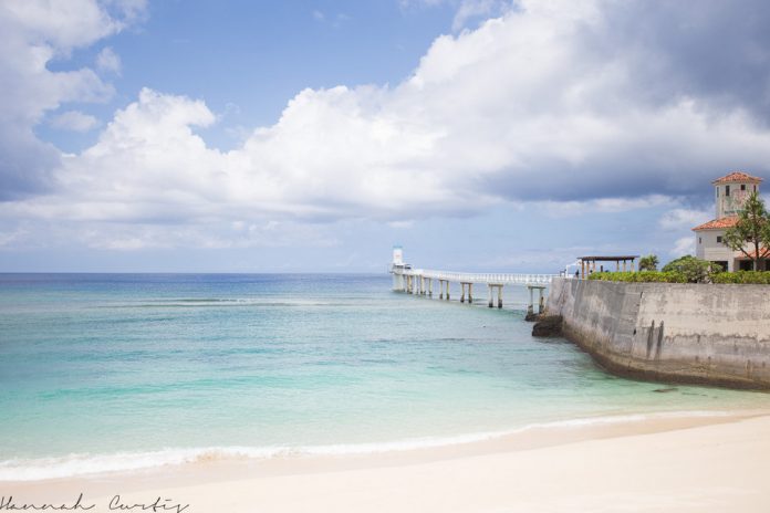 Busena Marine Park Underwater Observatory - Living + Nomads – Travel ...