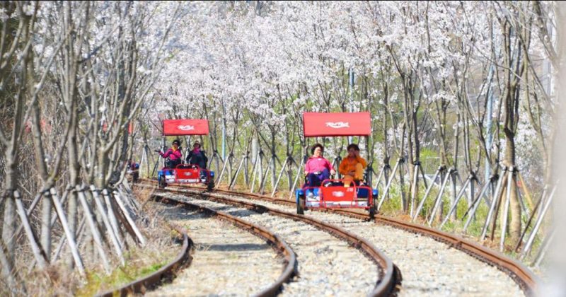 Gangchon Rail Park Reviews: Cycling Through Romantic Mountains and ...