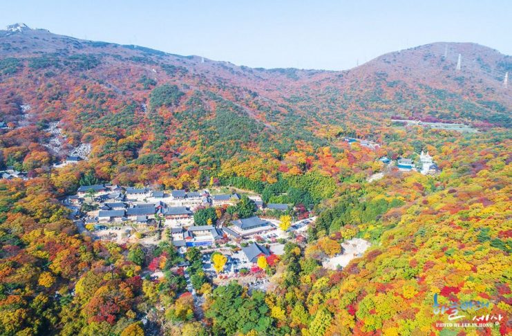 Busan travel blog — The fullest Busan travel guide & how to spend 3 ...