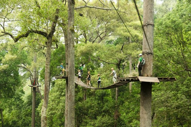 Top hostels in Chiang Mai — 9 best hostels in Chiang Mai & cheap ...