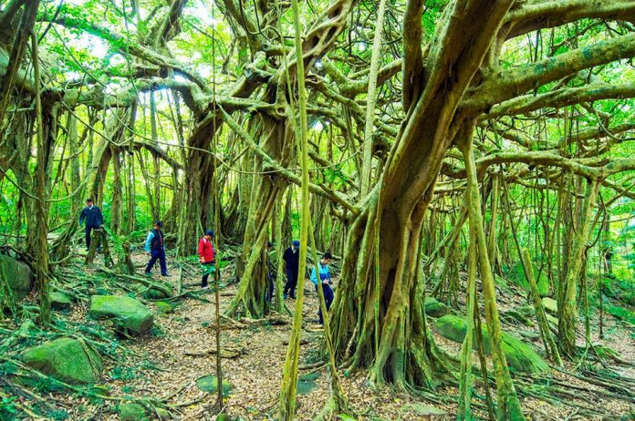 Taichung blog — The fullest Taichung travel guide for first-timers ...