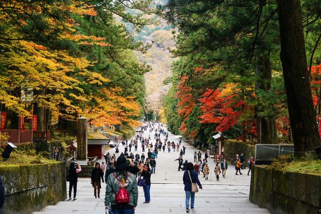 Nikko day trip from Tokyo — How to spend one day in Nikko perfectly ...
