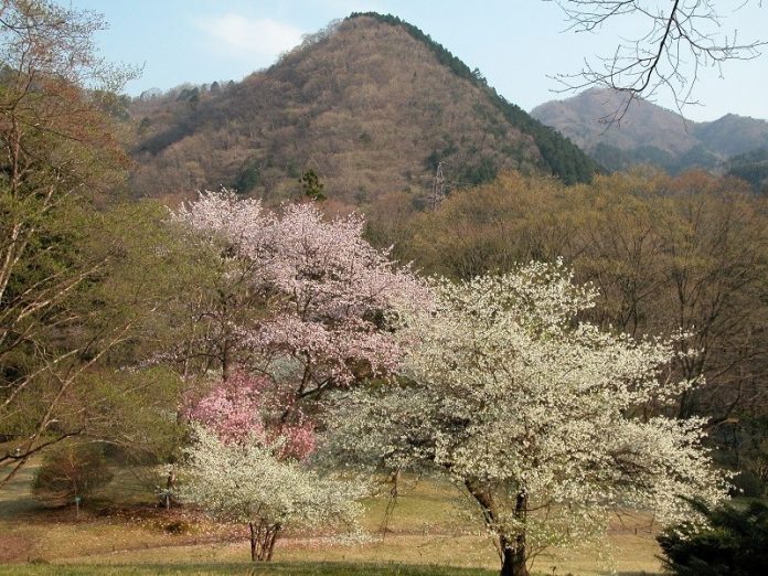 The SUPER Nikko travel guide: How to get there, Top attractions, Best ...